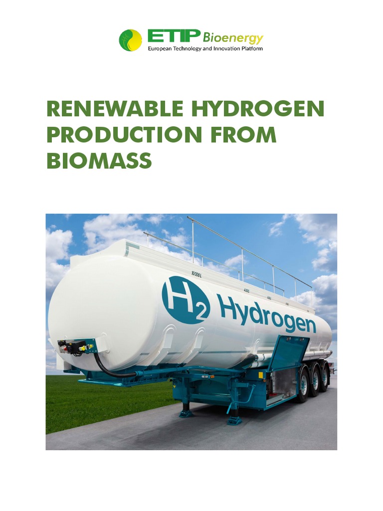 Renewable Hydrogen Production From Biomass | PDF