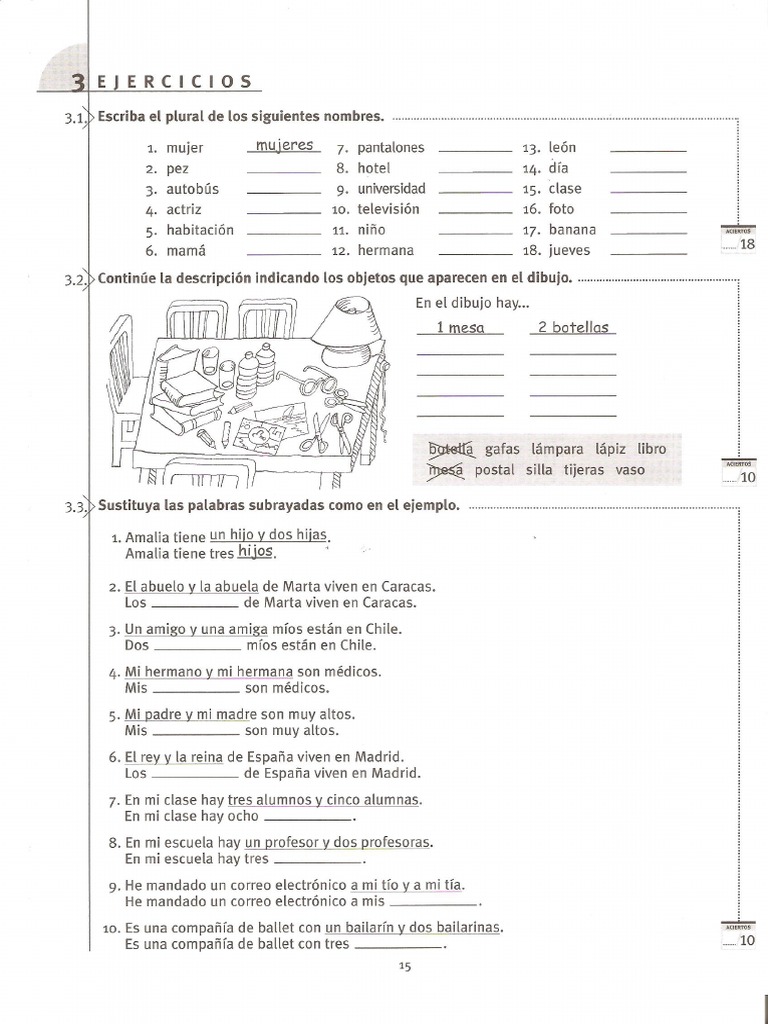 Ejercicios Plural | PDF