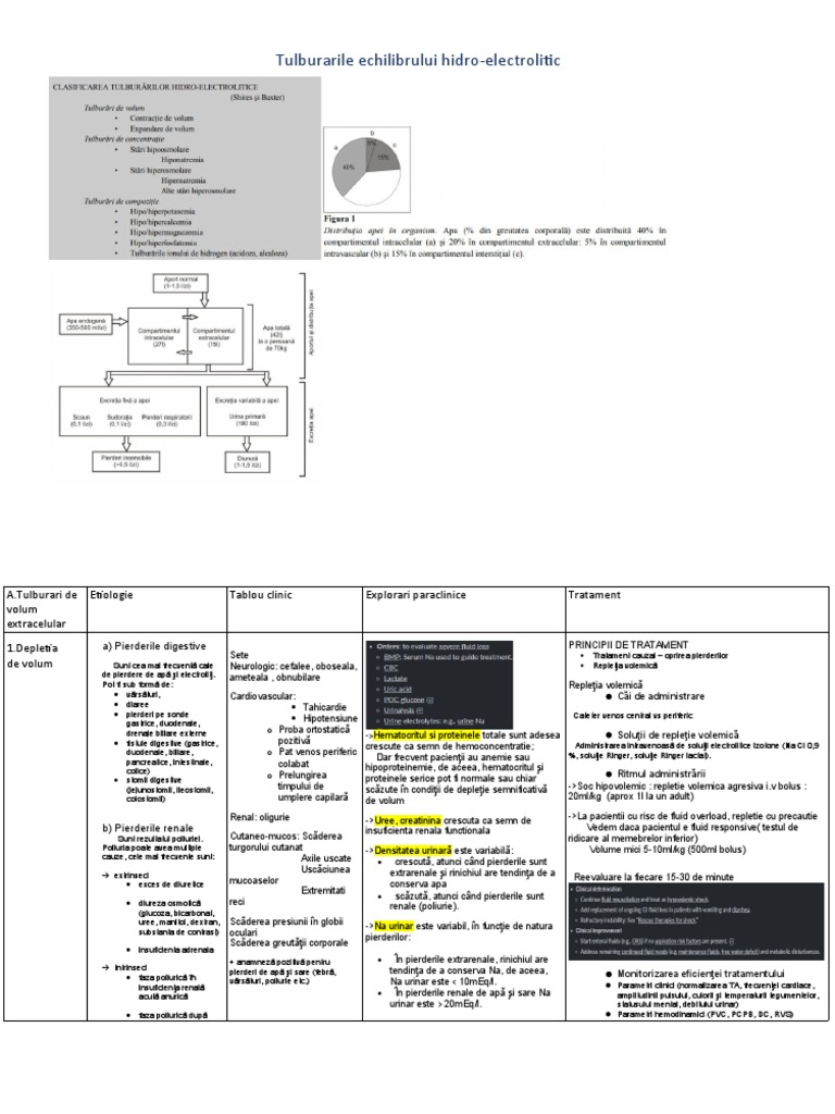 Tulburarile Hidro Electrolitice Acido Bazice | PDF