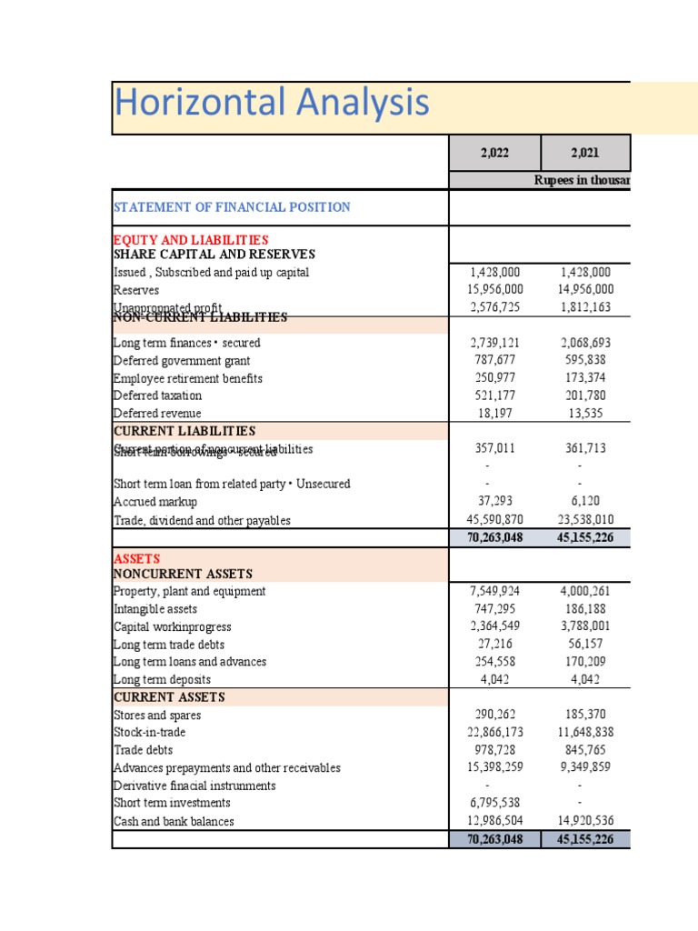Financial Statement Analysis Assignment | PDF | Loans | Expense