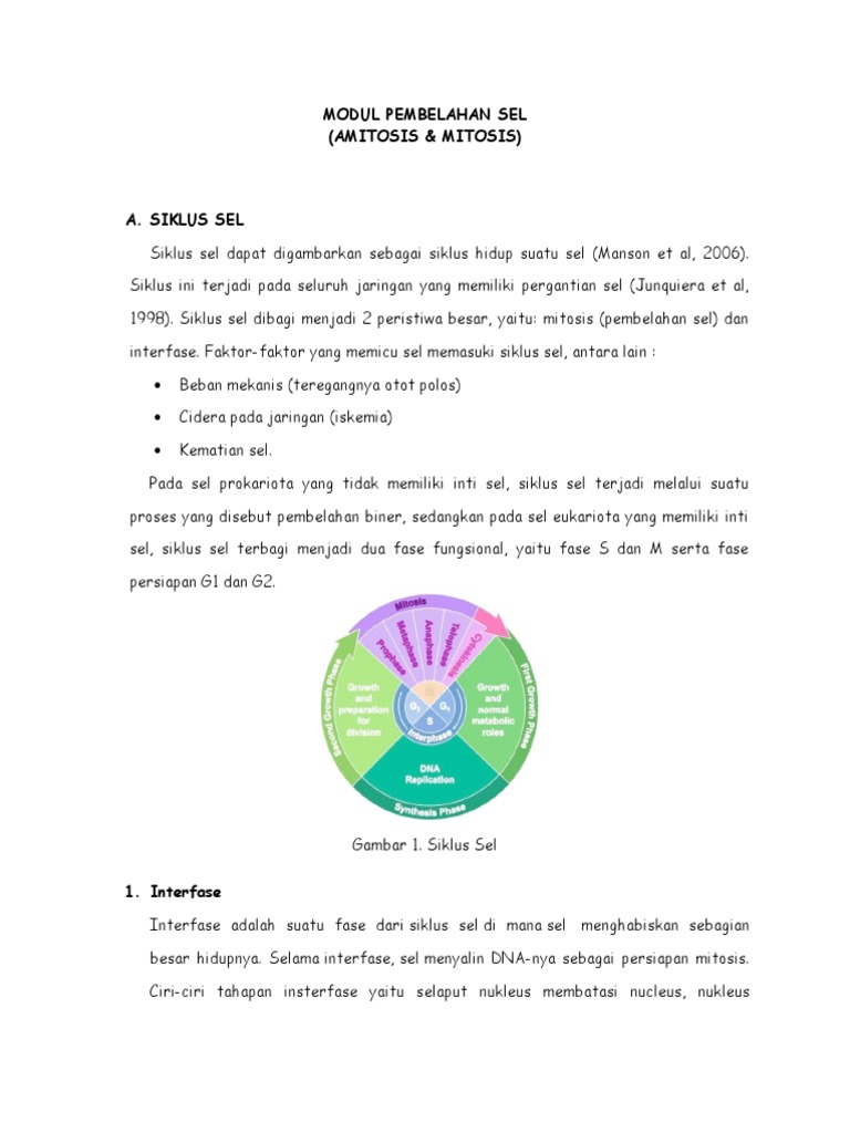 Modul Pembelahan Sel | PDF