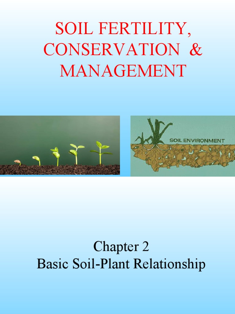 Soil Fertility and Management | PDF