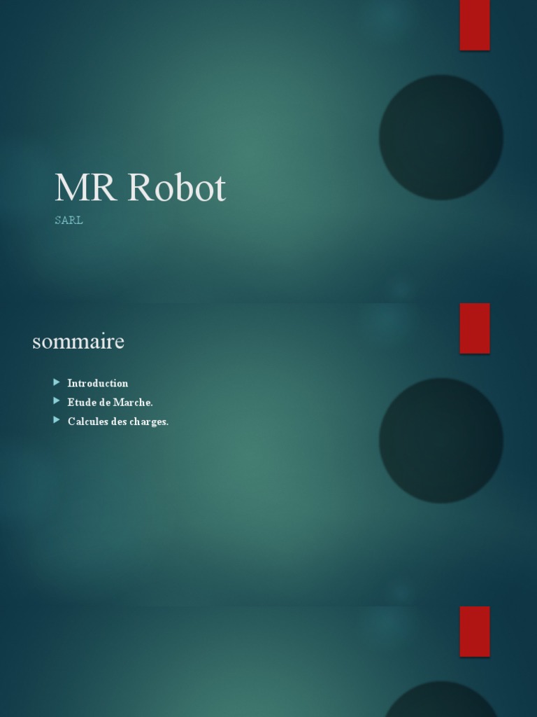 Analyse de marché pour Mr Robot SARL | PDF | Jeux vidéo | Maroc