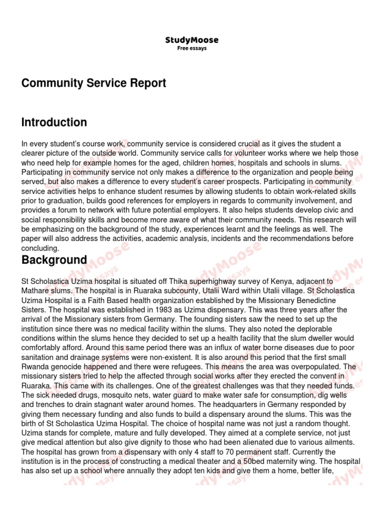 Community Service Report | PDF | Childbirth | Hospital
