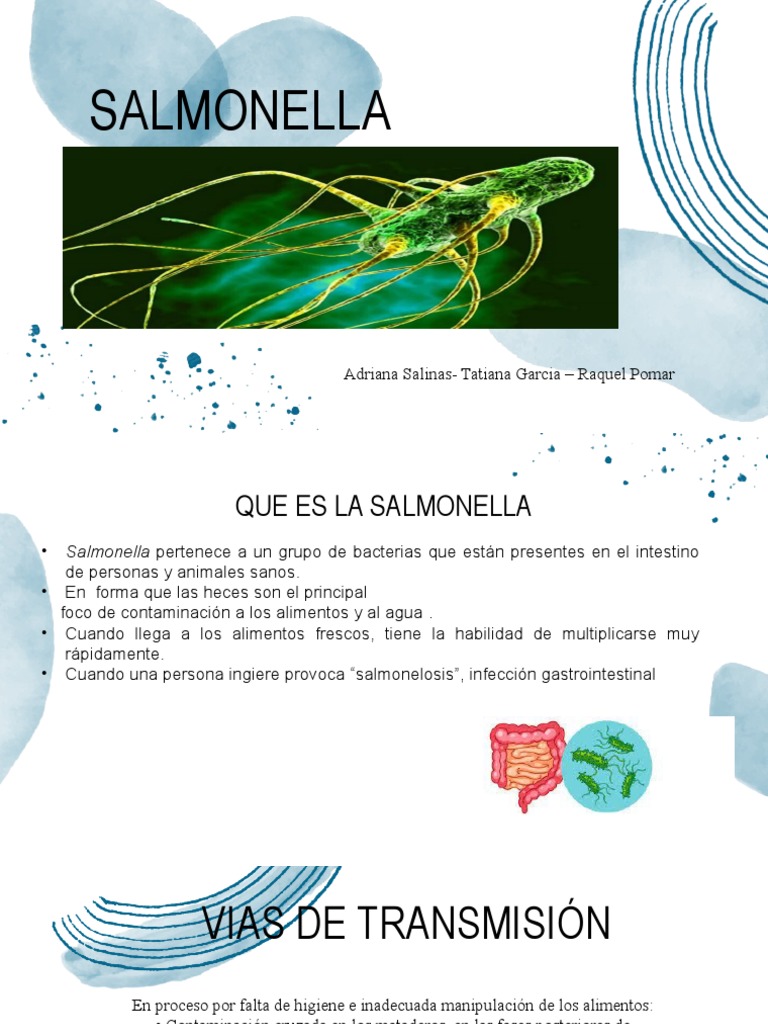 Salmonella | PDF | Salmonela | Alimentos