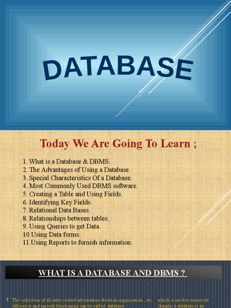 Database Presentation | PDF | Databases | Relational Database