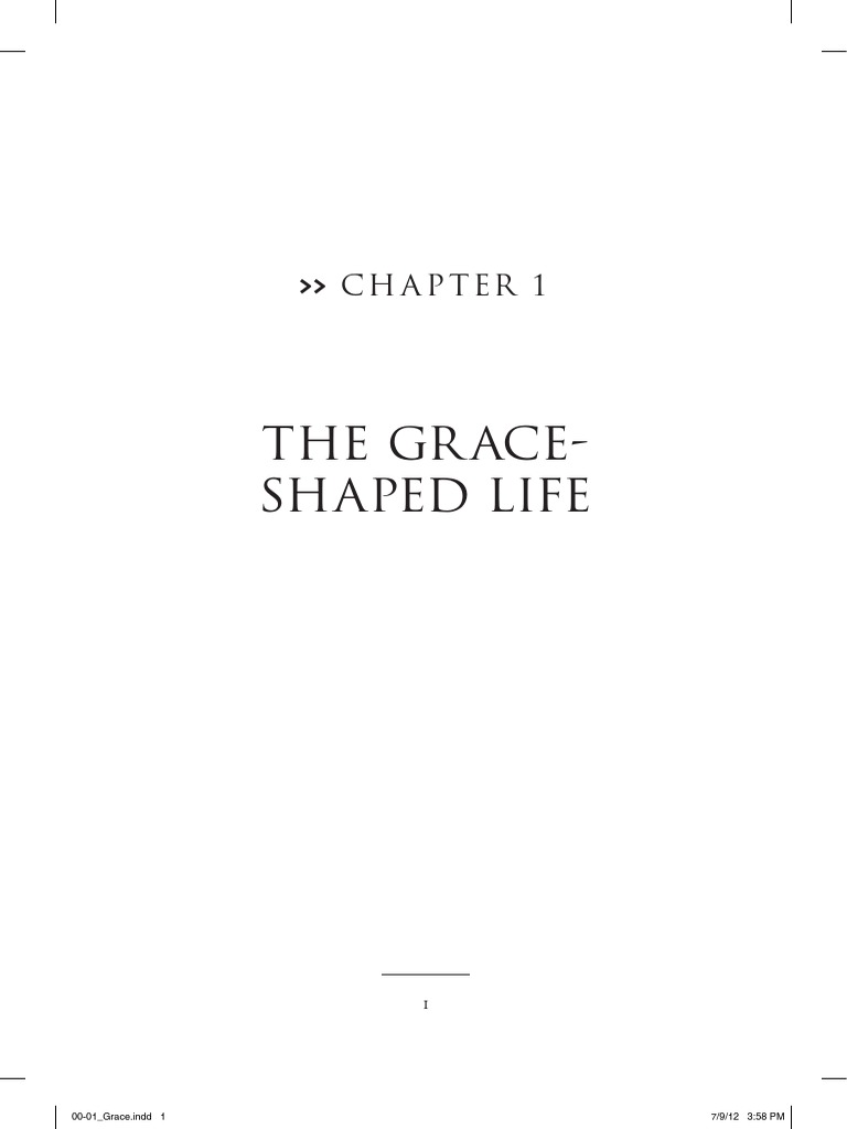 Understanding Grace in Christian Life | PDF