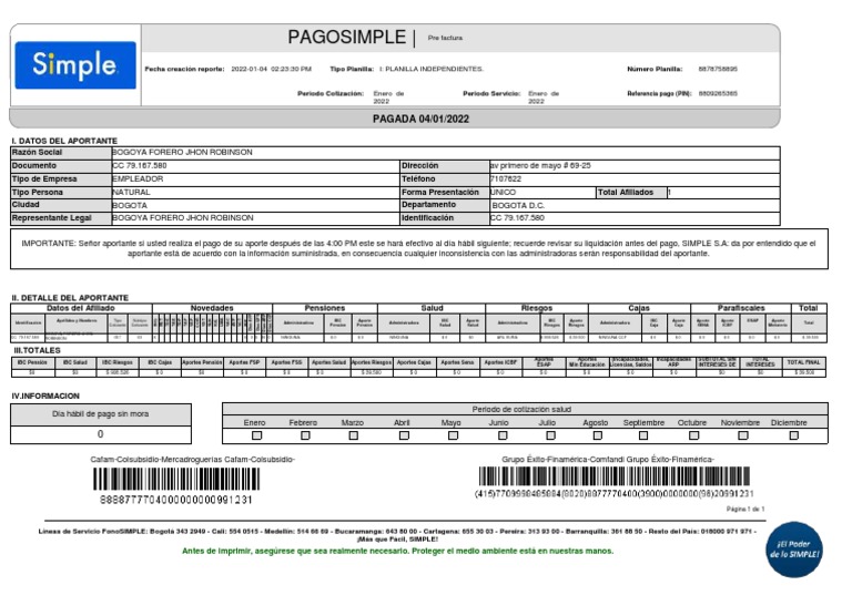 Planilla Simple Arl Bogoya Forero Jhon Robinson | PDF