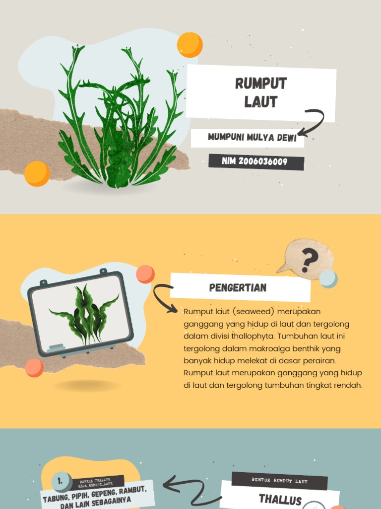 Rumput Laut | PDF