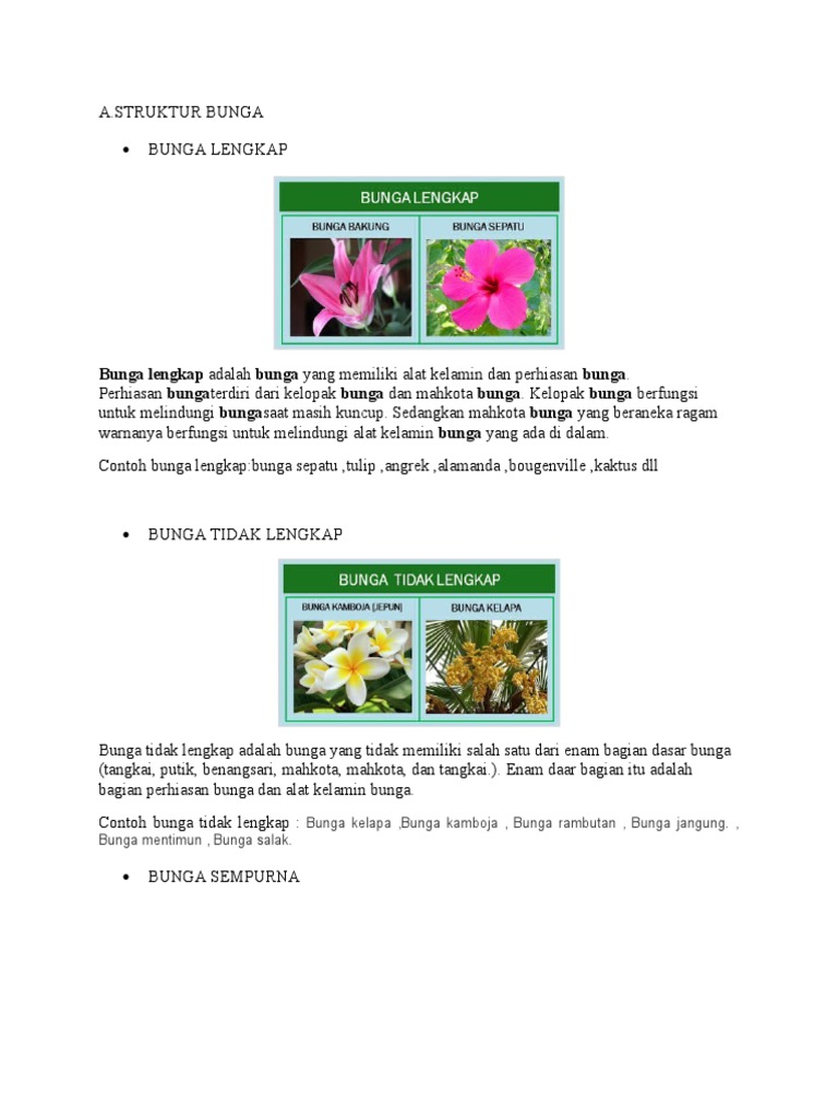 Bunga Lengkap Adalah Bunga Yang Memiliki Alat Kelamin Dan Perhiasan ...