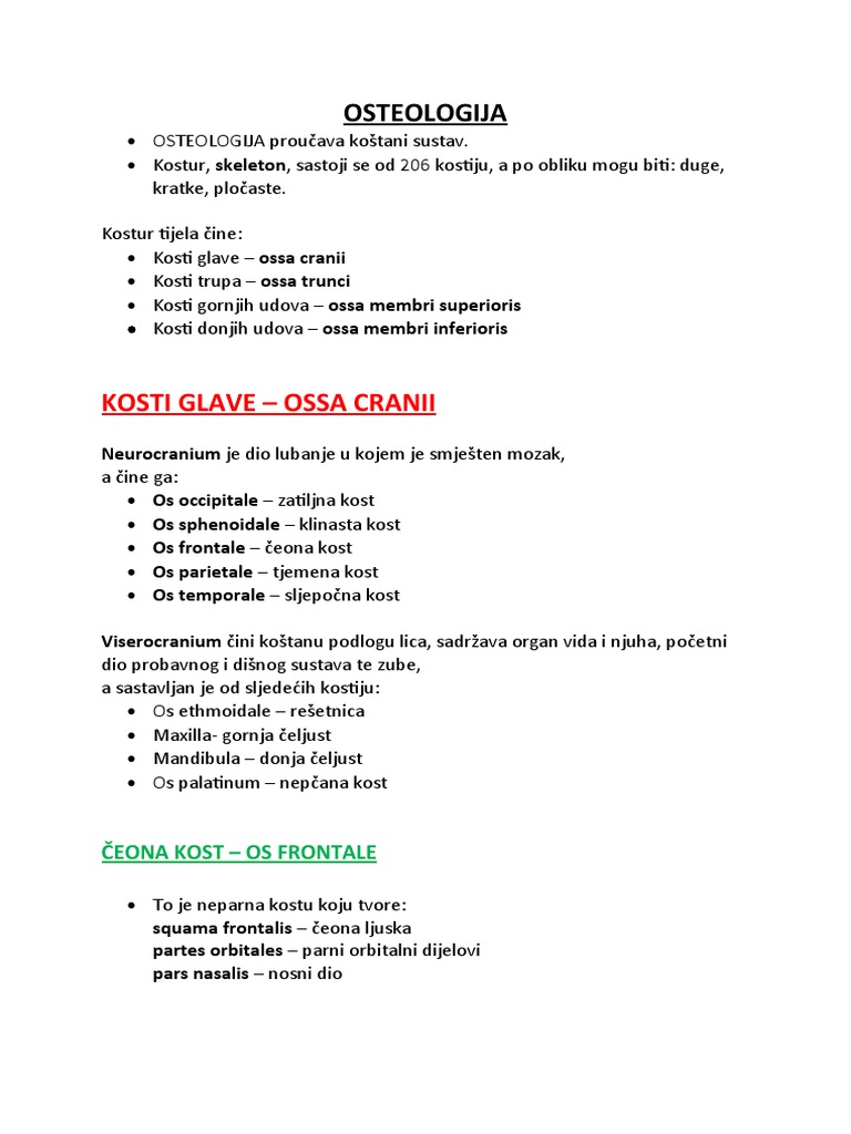 OSTEOLOGIJA | PDF