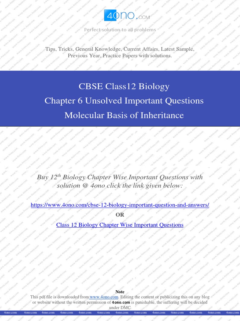 Chapter 6 Molecular Basis of Inheritance Unsolved Important Questions | PDF | Genetic Code | Gene