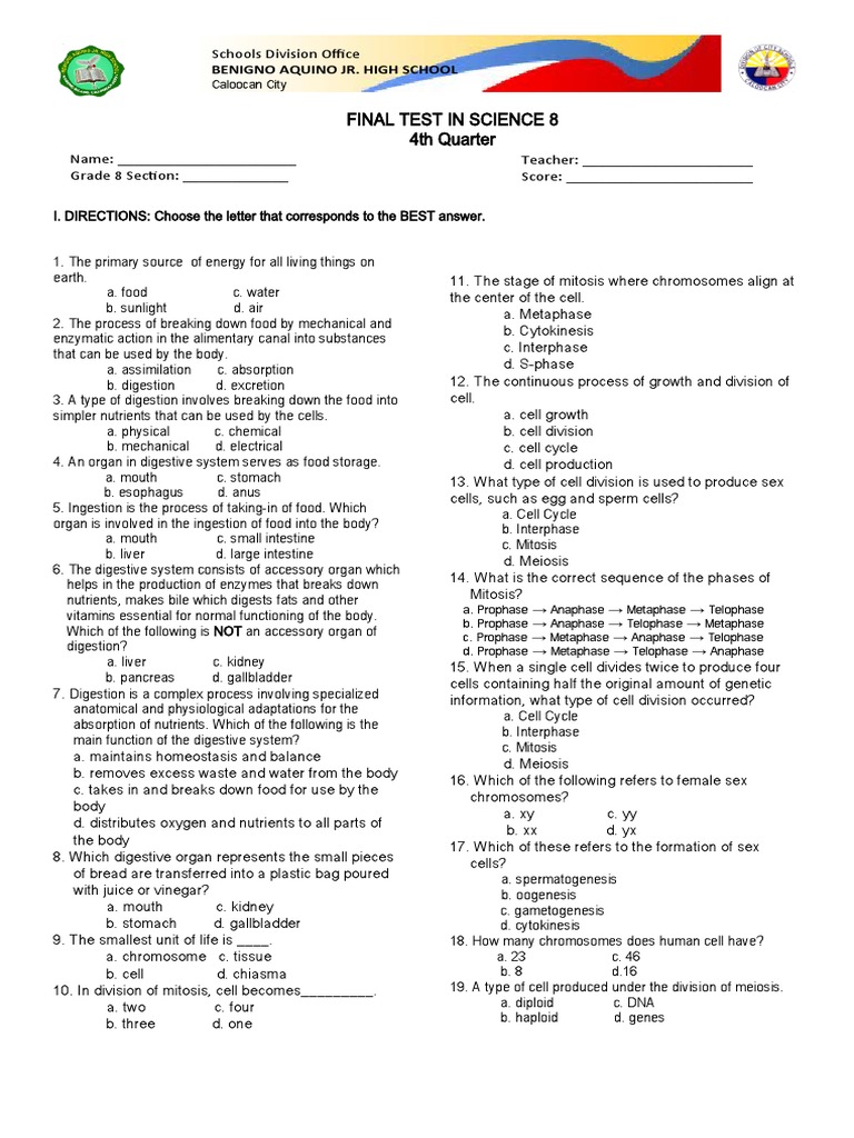 Final Exam gr.8 | PDF