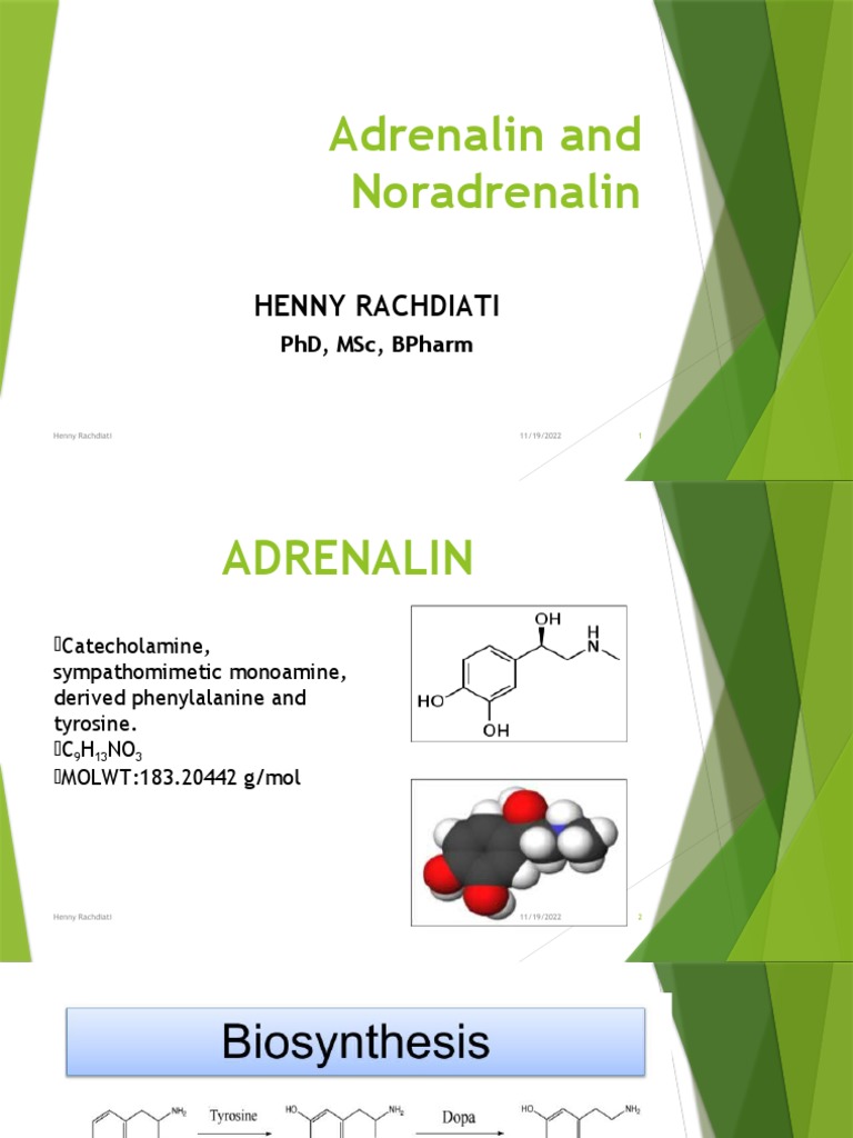 Adrenalin and Noradrenalin | PDF | Self-Improvement