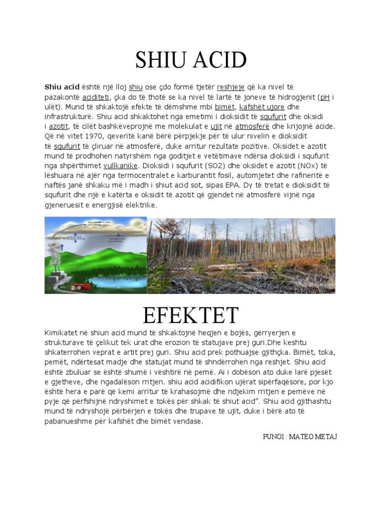 Shiu Acid | PDF