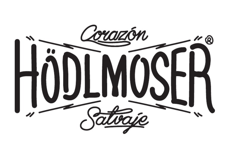 Hoedlmoser B&W 2017 02 1 | PDF