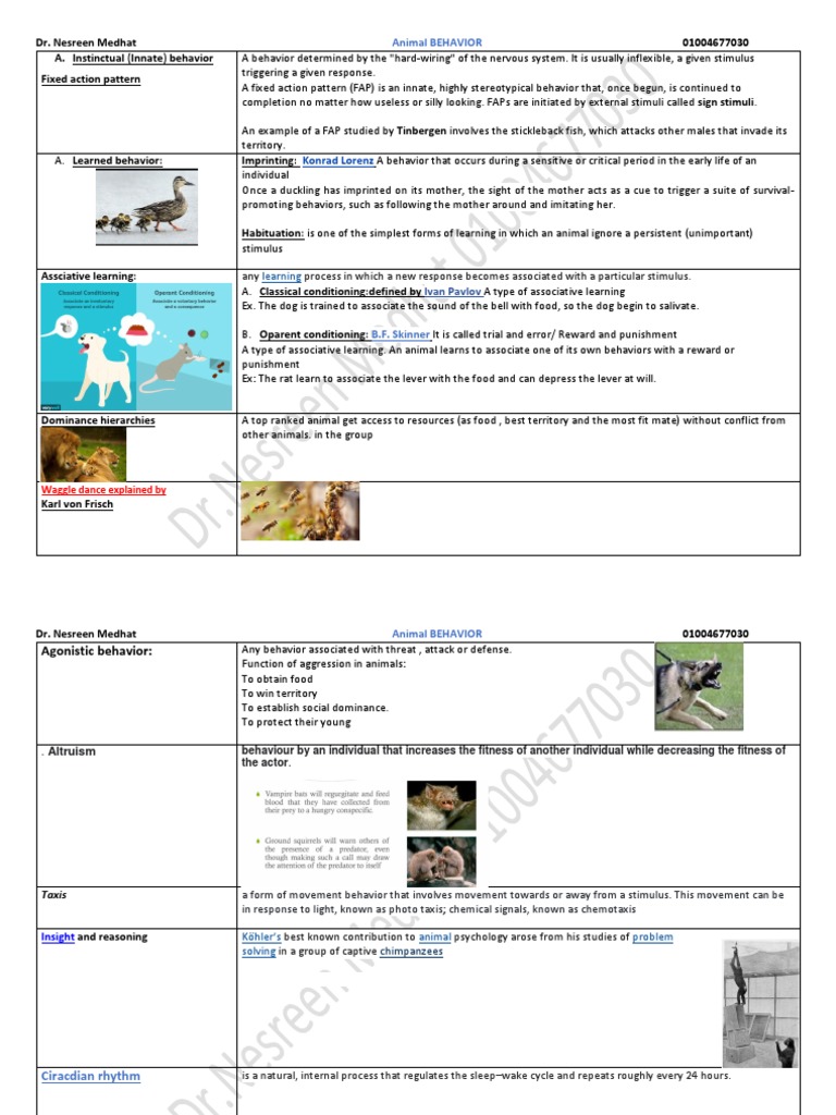 Understanding Animal Behavior Patterns | PDF | Science & Mathematics