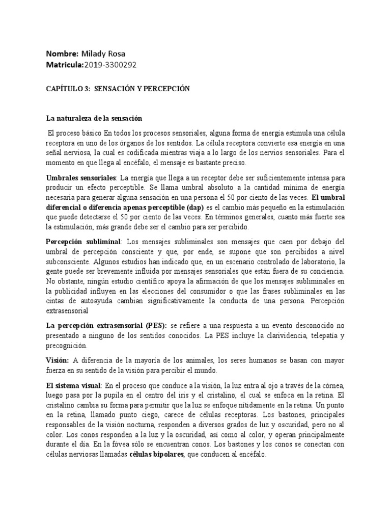 Resumen Capitulo 3 | PDF | Percepción visual | Color
