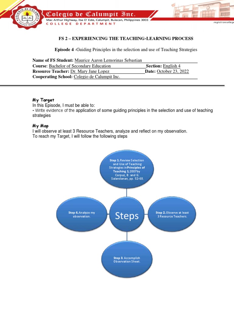 Guiding Principles for Teaching Strategies | PDF | Teaching Method ...