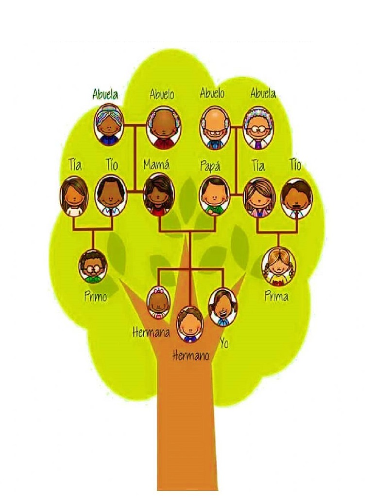Arbol Genealogico | PDF