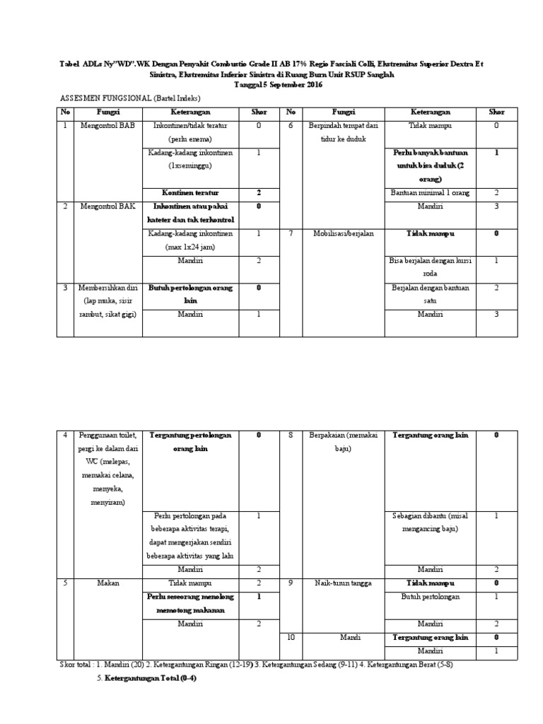 Tabel ADL Burn Unit | PDF