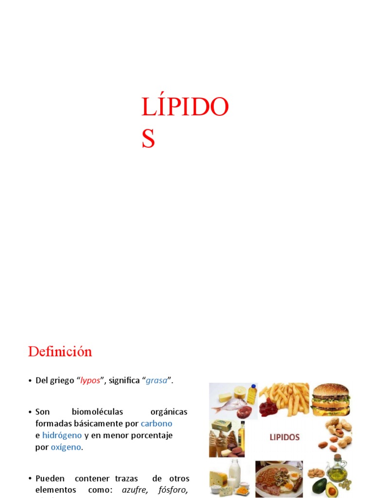 Quimica - Lipidos | PDF | Ácido graso | Lípido