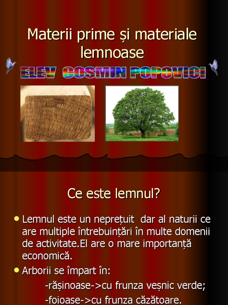 Materii Prime Şi Materiale Lemnoase | PDF