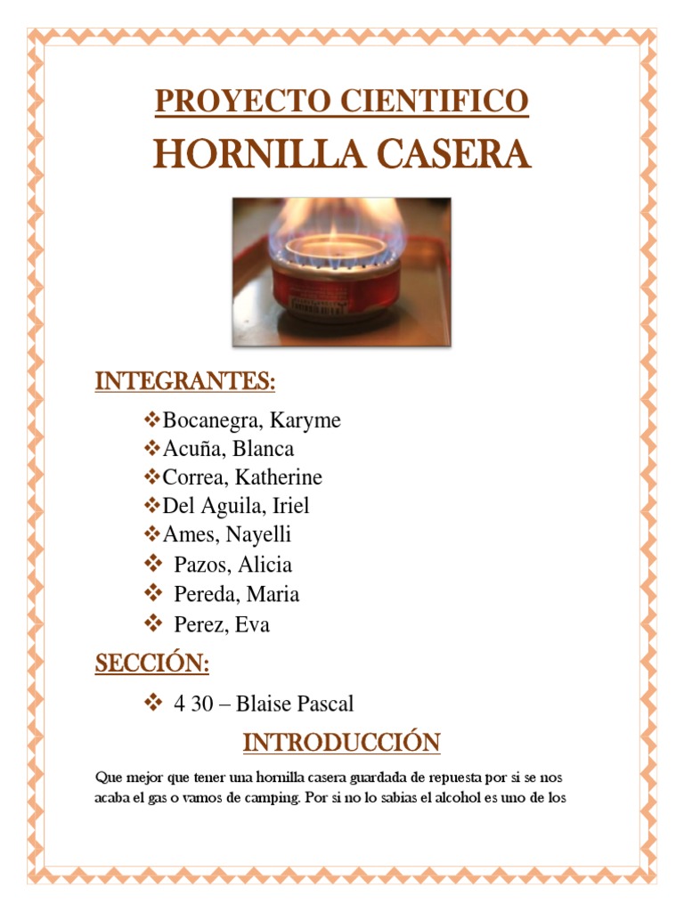 Proyecto Cientifico | PDF