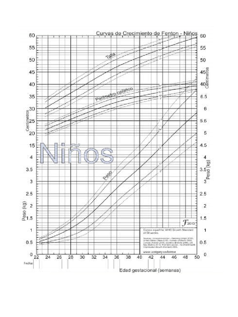 Escala de Fenton | PDF
