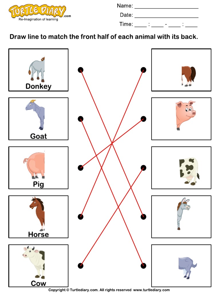 Answer Body Parts of Animals | PDF