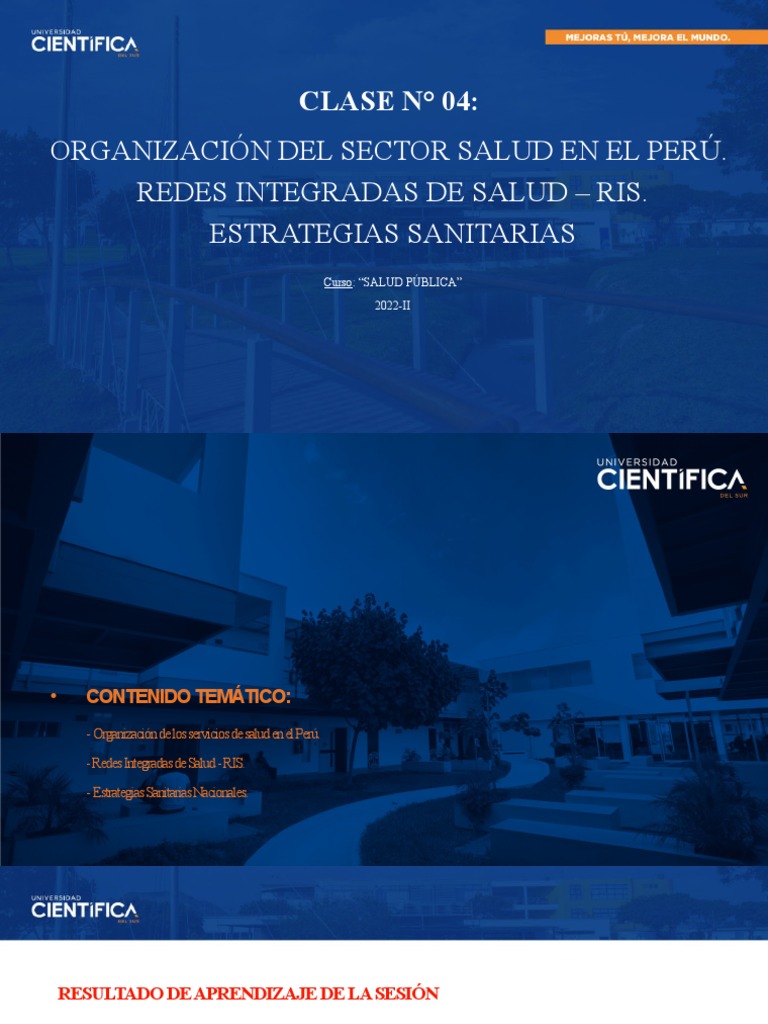 Clase #04. Organización Sector Salud Ok | PDF | Hospital | Sistema de salud