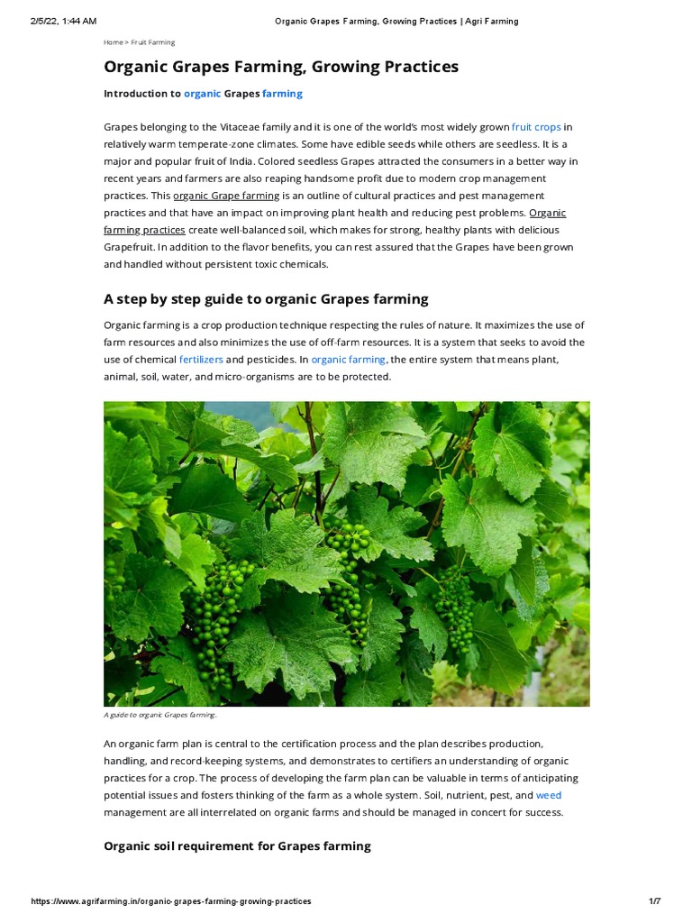 Organic Grapes Farming, Growing Practices - Agri Farming | PDF | Soil ...