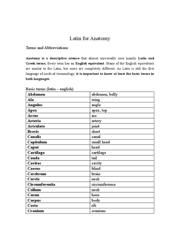Latin For Anatomy | PDF | Neck | Abdomen