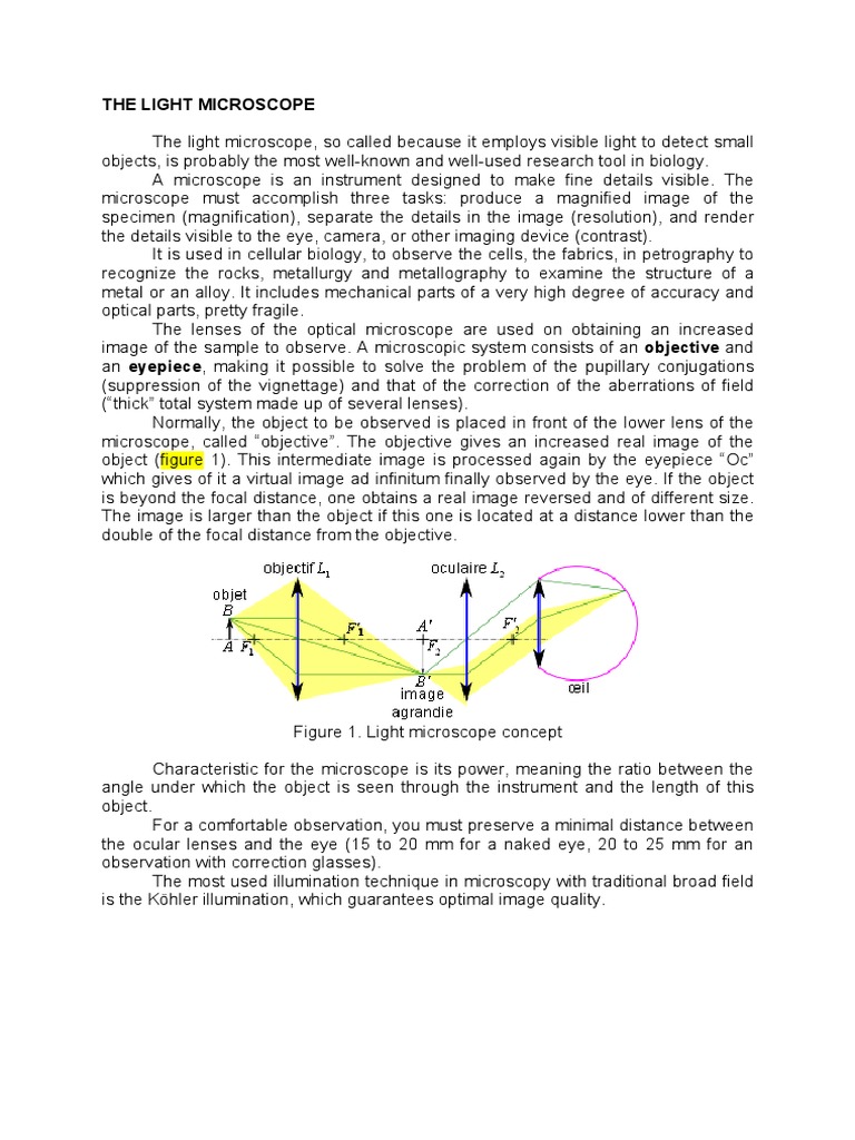 Light Microscope | PDF | Fluorescence Microscope | Microscopy