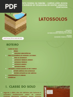Características dos Vertissolos no Brasil | PDF | Solo | Clima temperado