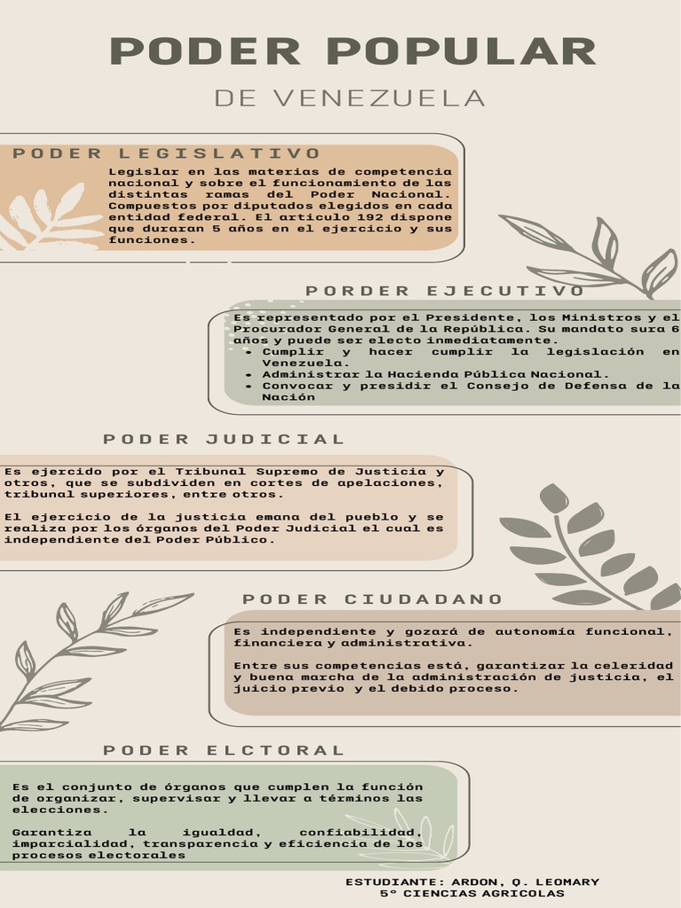 Infografía Poder Popular de Venezuela | PDF