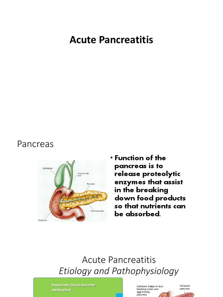 Pancreas | PDF