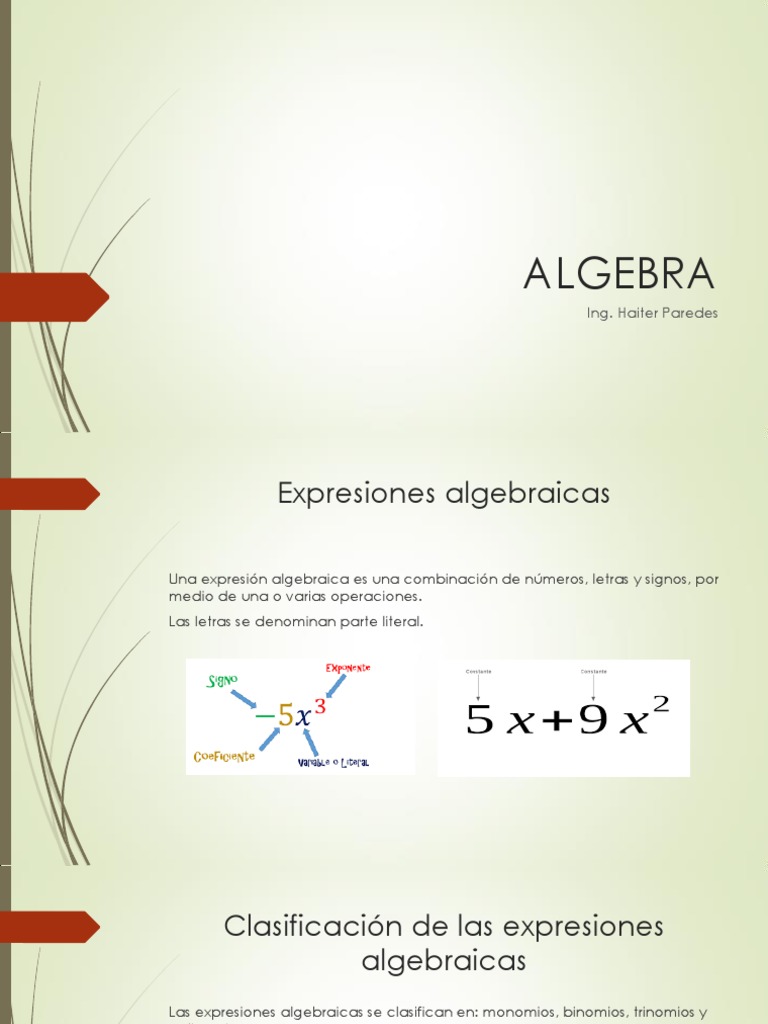 Clasificación y operaciones en álgebra | PDF | Multiplicación ...