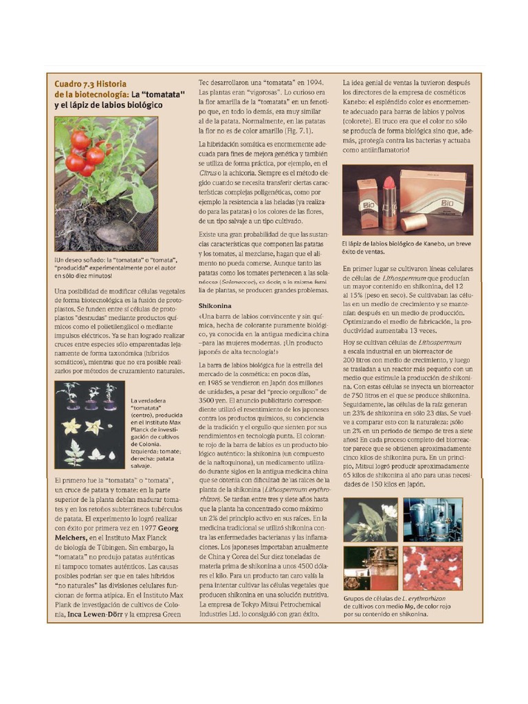 La Tomatata y El Lapiz de Labios Biológico | PDF