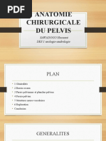 Cystostomie à minima : Technique et soins | PDF | Vessie | Appareil ...