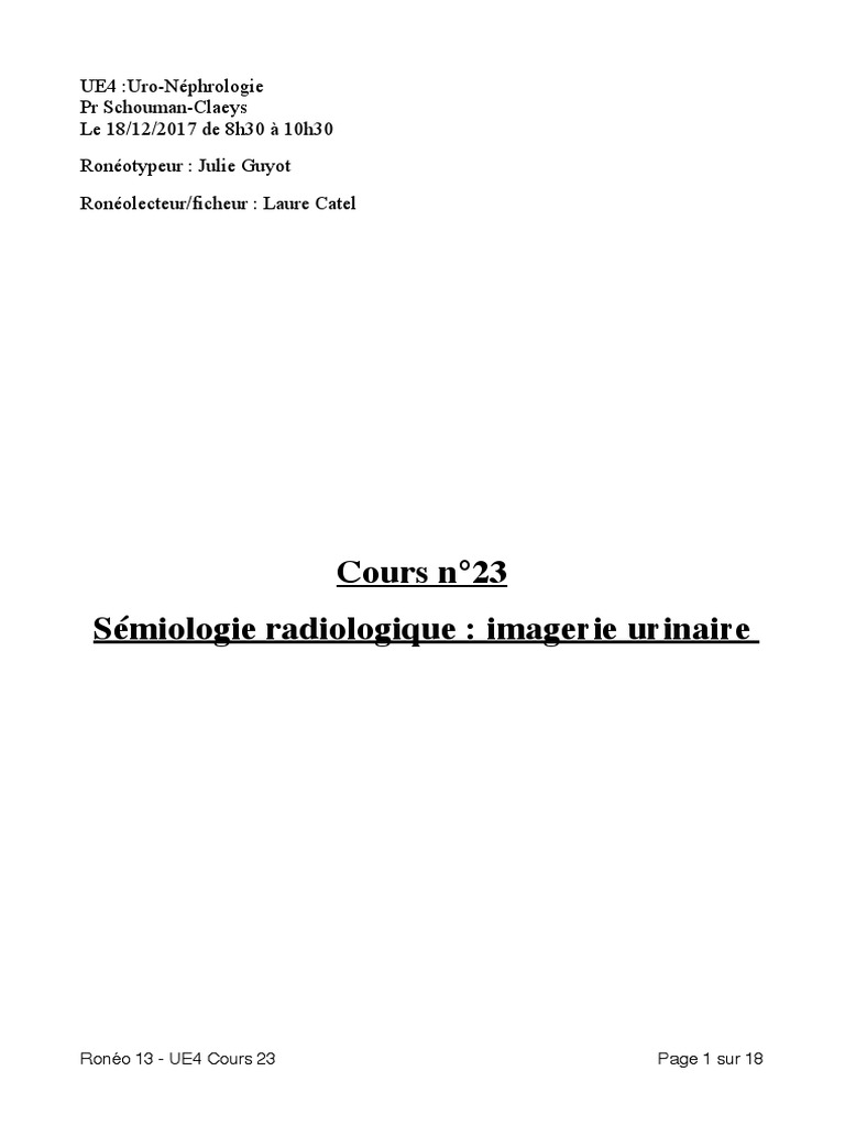 1a d1 Ue 4 Cours 23 Imagerie Urinaire Ronéo | PDF