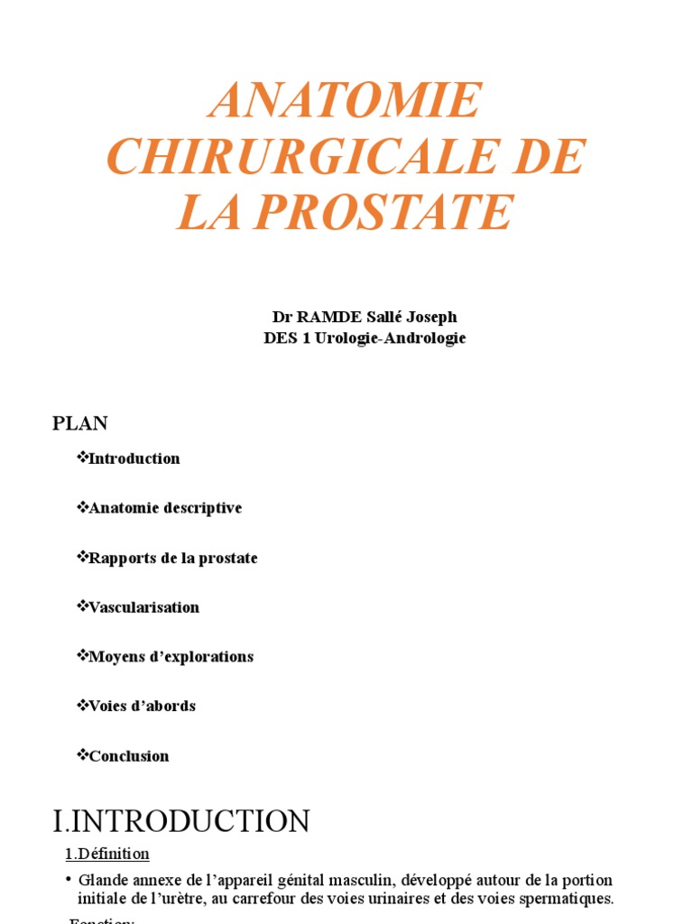 Anatomie de La Prostate Pret | PDF
