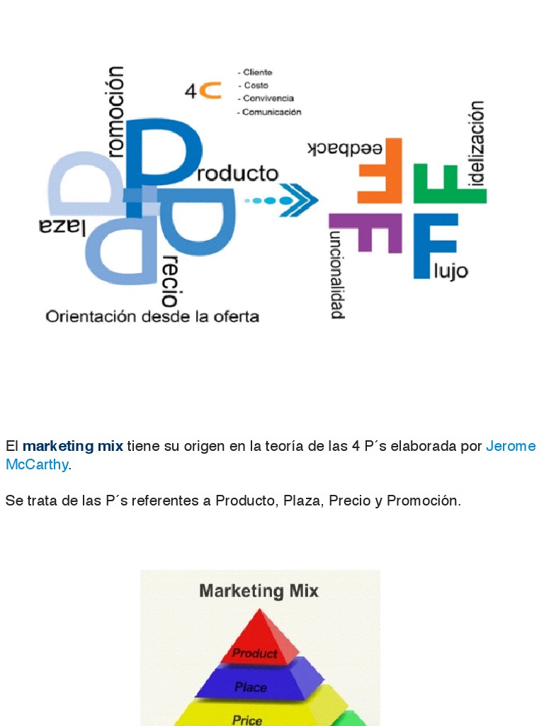 Segmentacion 4 Ps 4 Cs 4 Fs | PDF