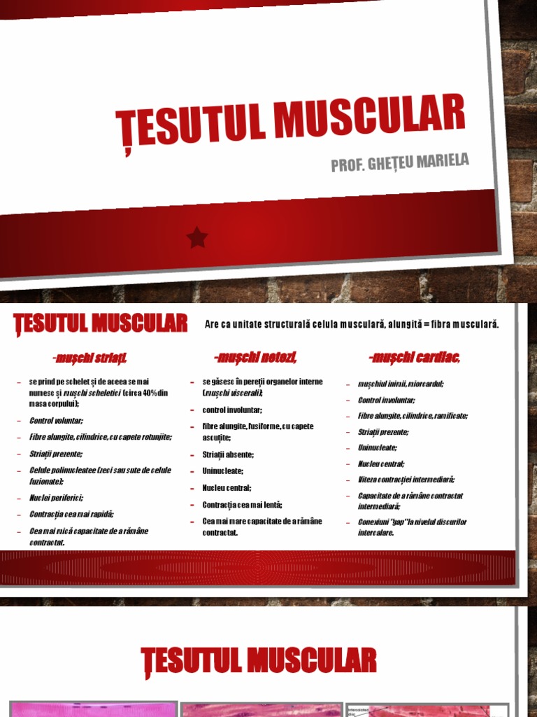 7 Tesut Muscular | PDF