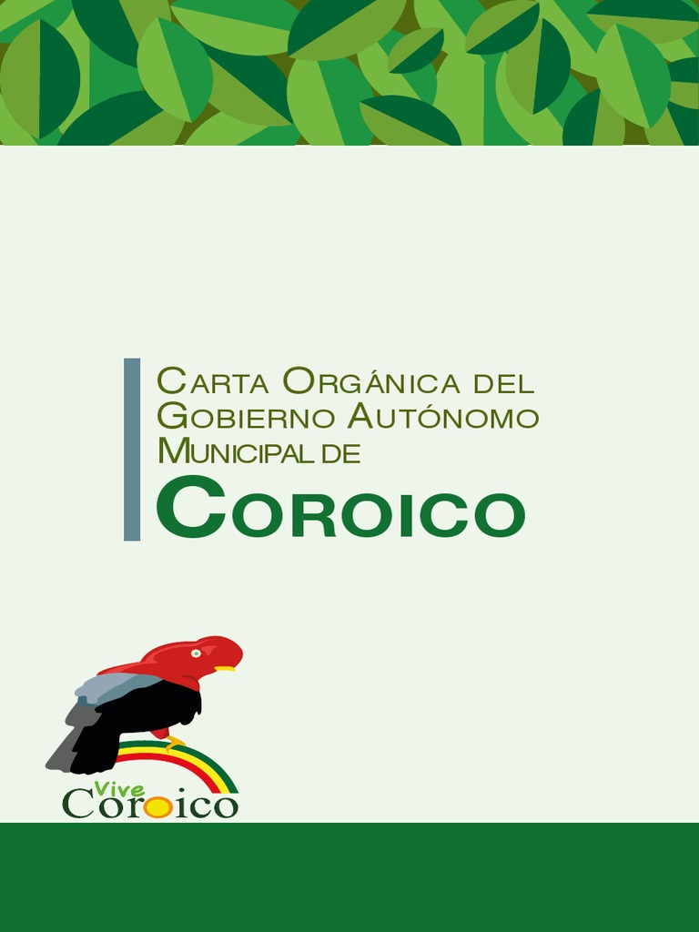 Carta Organica Del GAM de Coroico | PDF