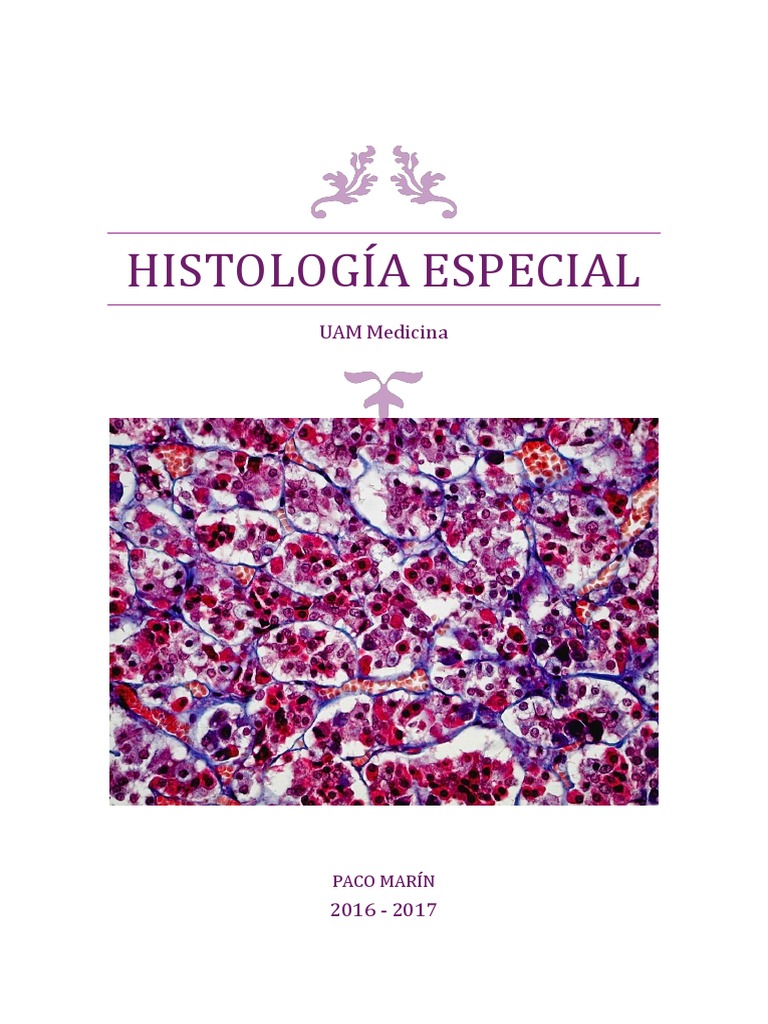 Histo Especial - Paco Marin | Descargar gratis PDF | Ganglio linfático ...