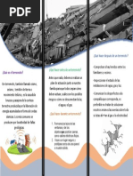 Triptico Terremoto | PDF | Temblores | Naturaleza