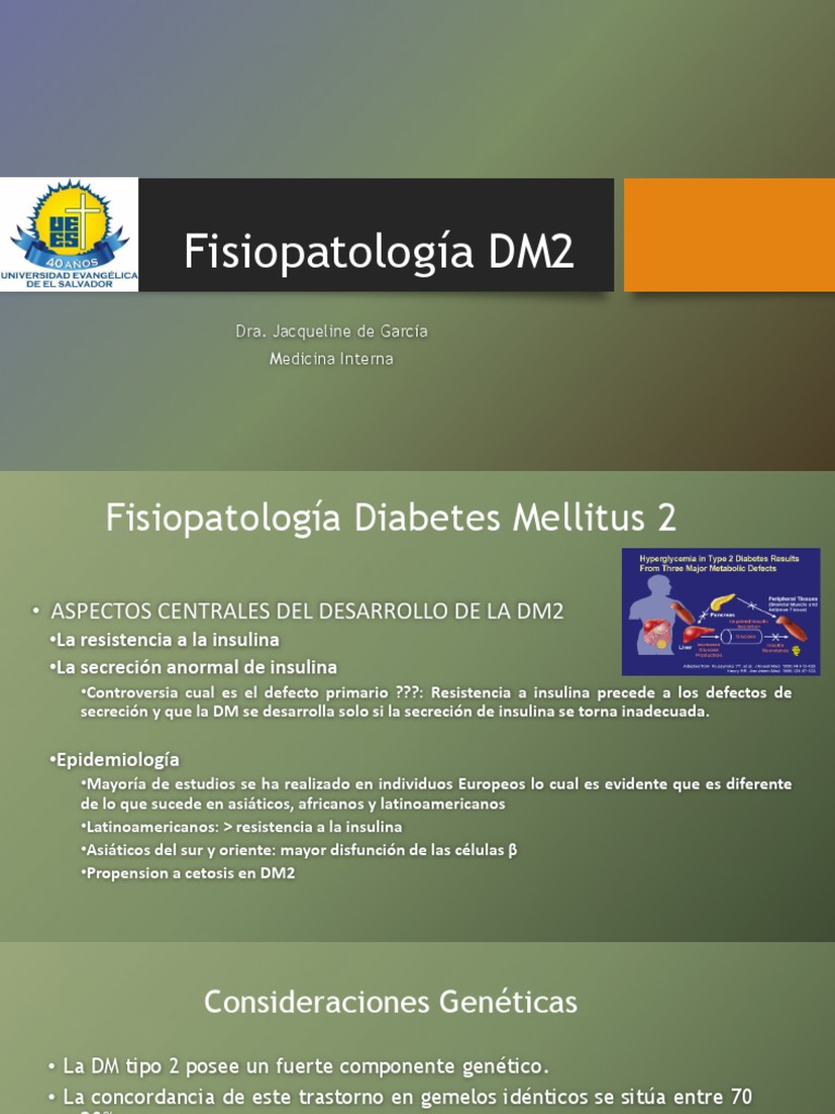 Fisiopatología DM2 | Descargar gratis PDF | Resistencia a la insulina | Insulina