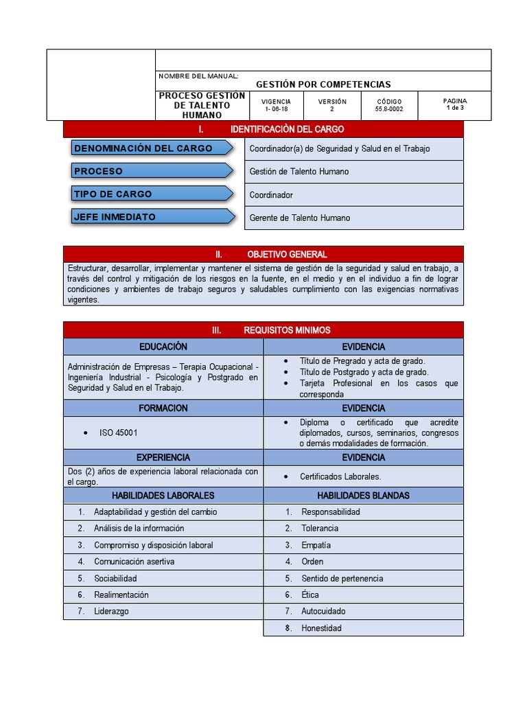 Ejemplo Perfil de Cargo | PDF