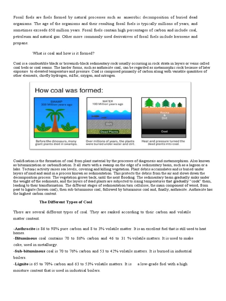 Fossil Fuel | PDF